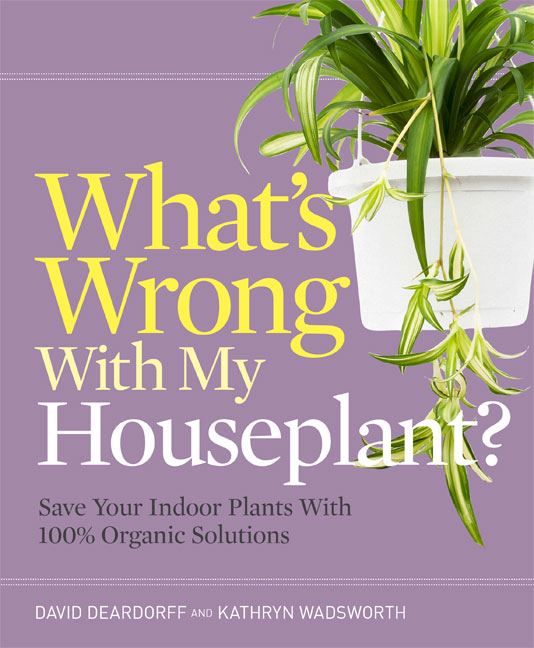houseplant-cover - Susan's in the Garden