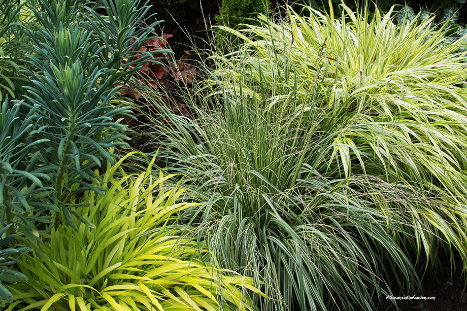 plant sales