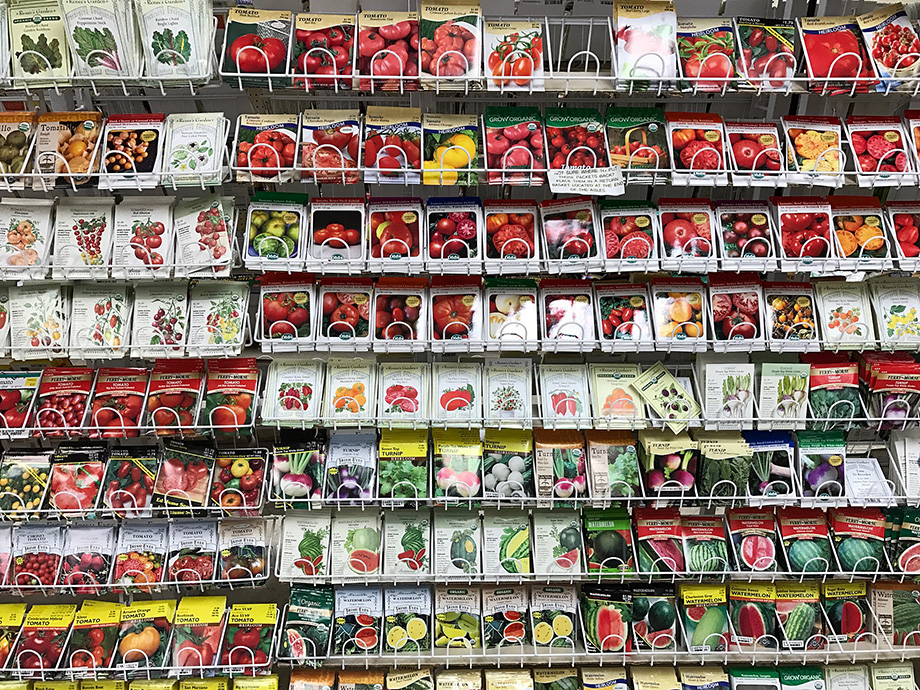March 8 Column: Seed-starting - Susan's in the Garden