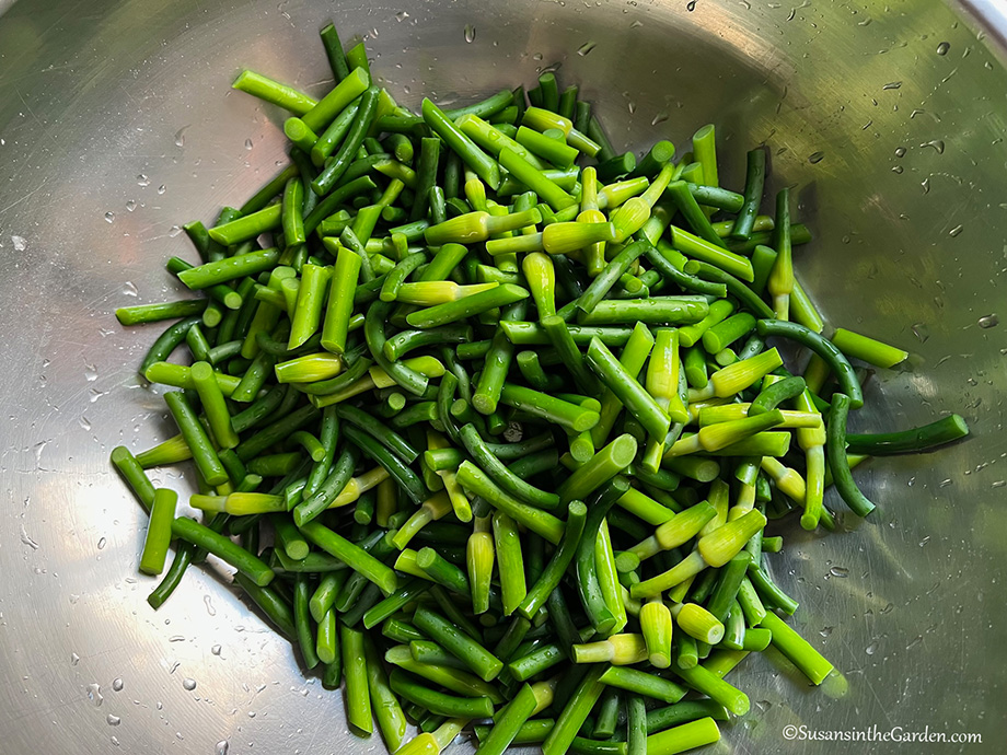 Garlic Scapes